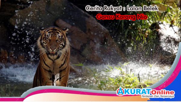 Cerita Rakyat Rejang, Lalan Belek - Akurat Online